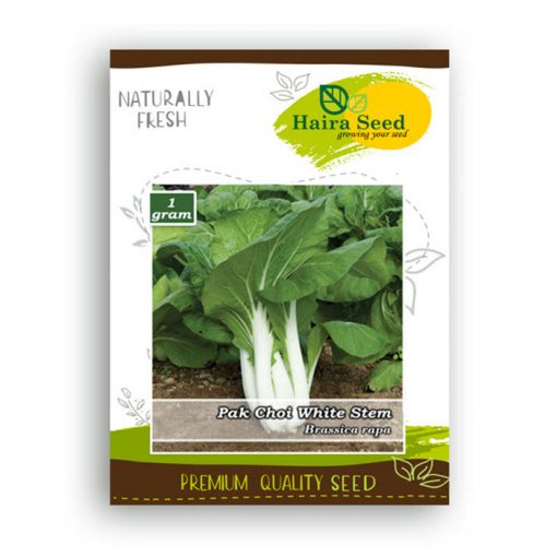 Jual Benih Sawi Pakcoy White Steam 1 gram – Haira Seed | Bibit Online