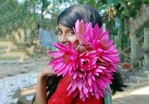 Simbol dan Makna Bunga Teratai | Bibit Online