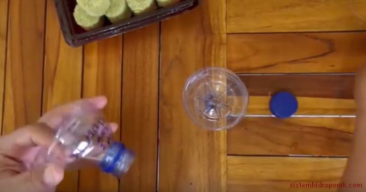 Hidroponik Sederhana dengan Botol Bekas Air Mineral | Bibit Online Hidroponik Sederhana dengan Botol Bekas Air Mineral | Bibit Online