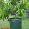 Jual Planter Bag Murah & Lengkap | Bibit Online