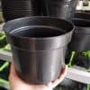 Jual Pot Tanaman Murah & Lengkap | Bibit Online