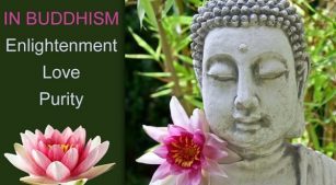 Simbol dan Makna Bunga Teratai | Bibit Online