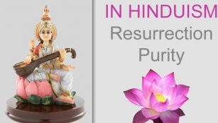 Simbol dan Makna Bunga Teratai | Bibit Online