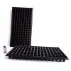 Jual Tray Semai Berkualitas, Murah & Lengkap | Bibit Online